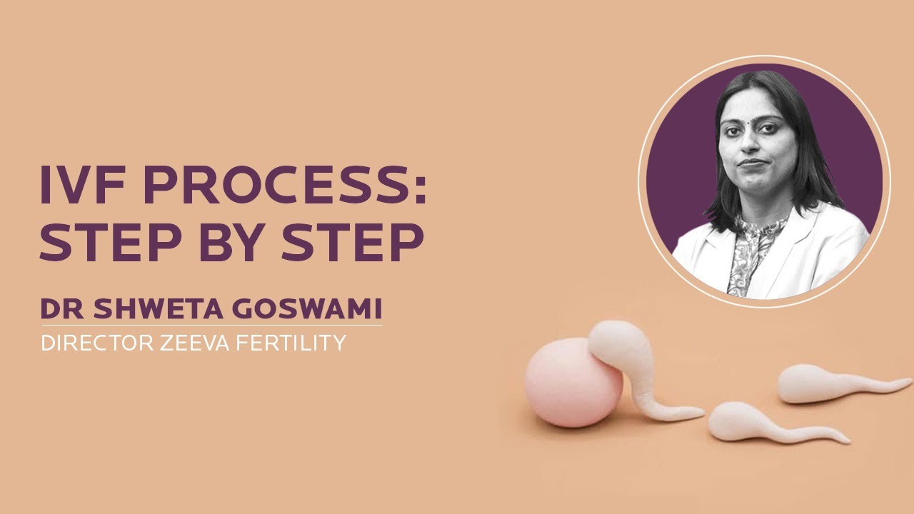 How IVF is done step by step | IVF process Explainer | Zeeva Fertility ...