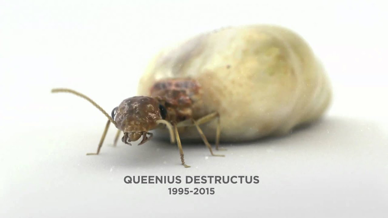 Terminix 2010 / TVC 'Termites' - YouTube