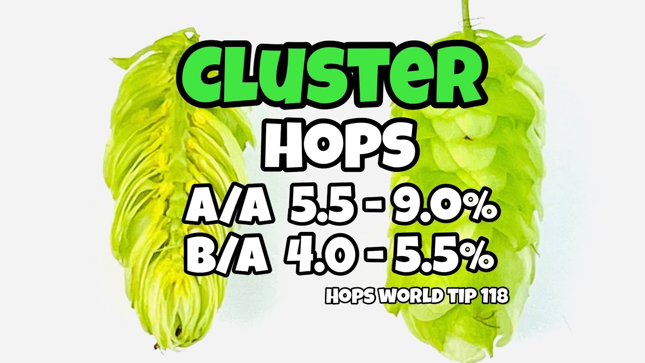 CLUSTER HOPS - HOPS WORLD TIP 118 - YouTube