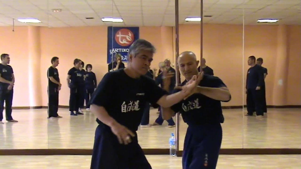 Kenji Tokitsu Stage Taiji Quan Push Hand Bilbao Aprile 2014 - YouTube