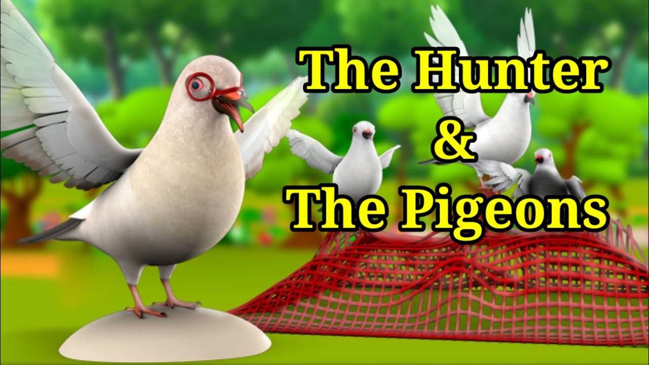 Story:The Hunter and The Pigeons ll Moral stories ll Children's stories ...