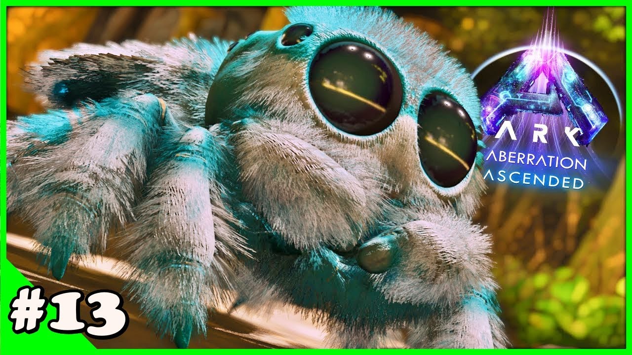 Taming Cosmo Jumping Spider! | Aberration | Ep: 13 | # ...