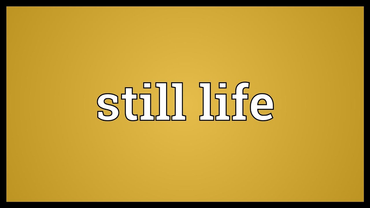 Still Life Meaning YouTube