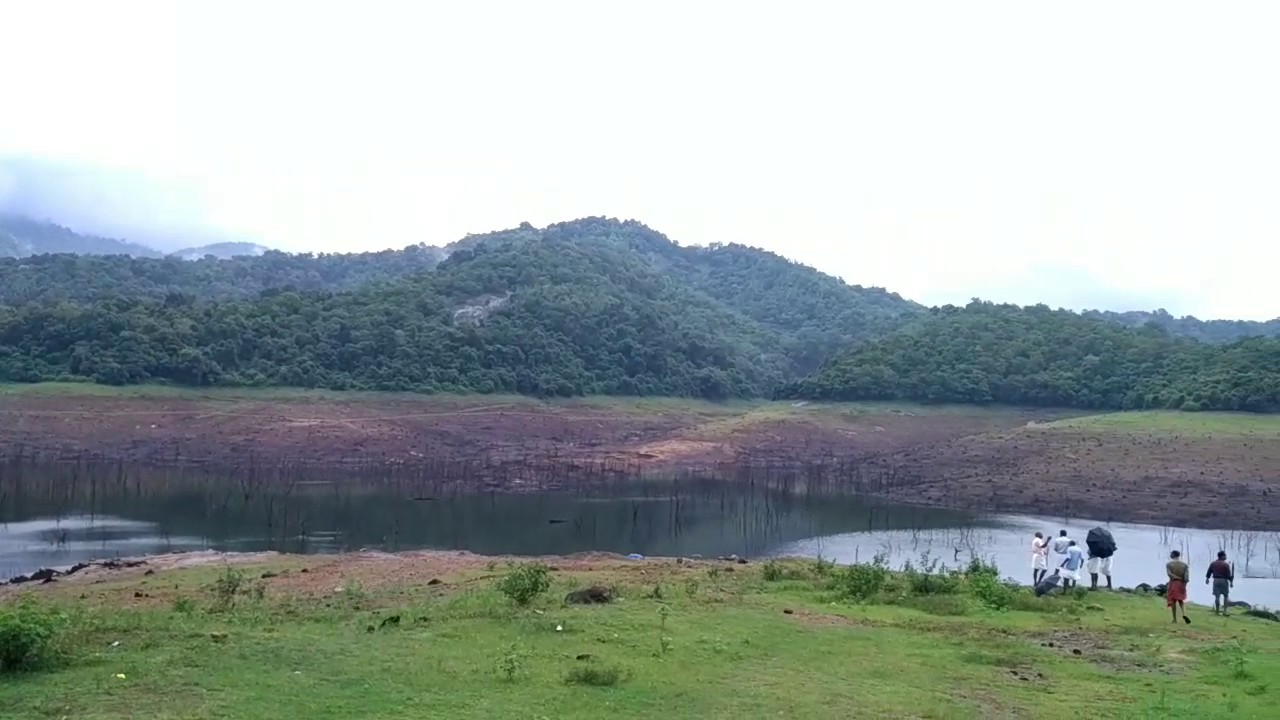 Chimmini wildlife sanctuary - YouTube