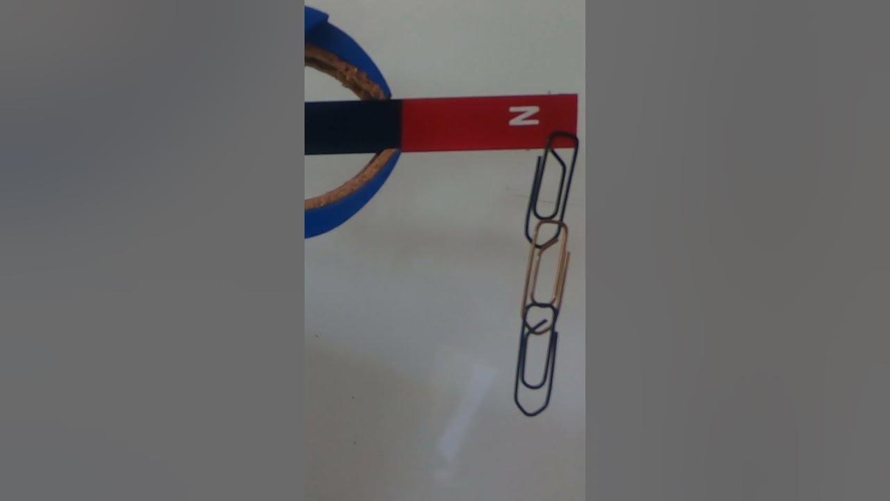 How many paper clips can the bar magnet hold? GCSE Physics - YouTube