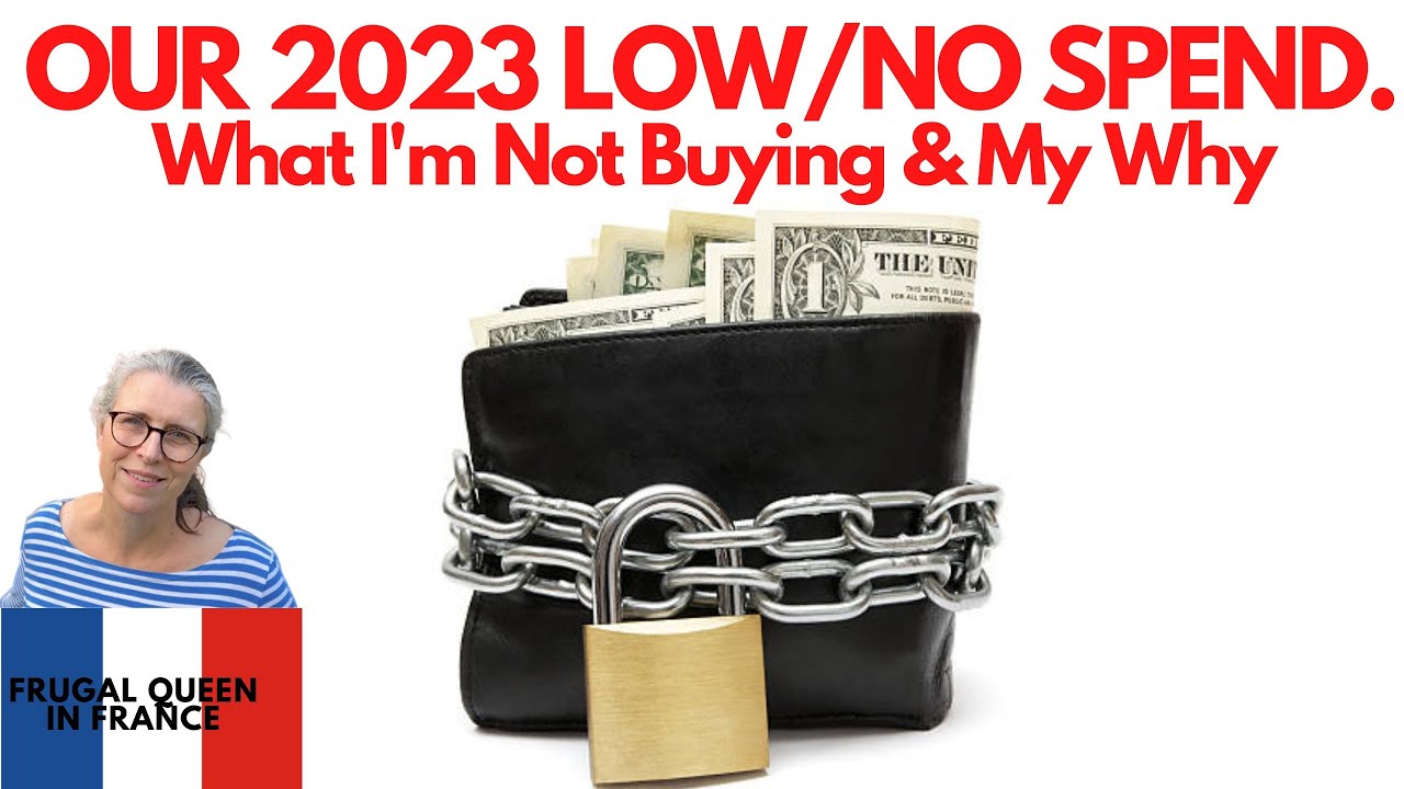 Our 2023 Low/No Spend. What I'm Not Buying and My Why #frugal #nospend ...