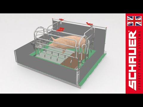 Product video Wingfree free farrowing pen