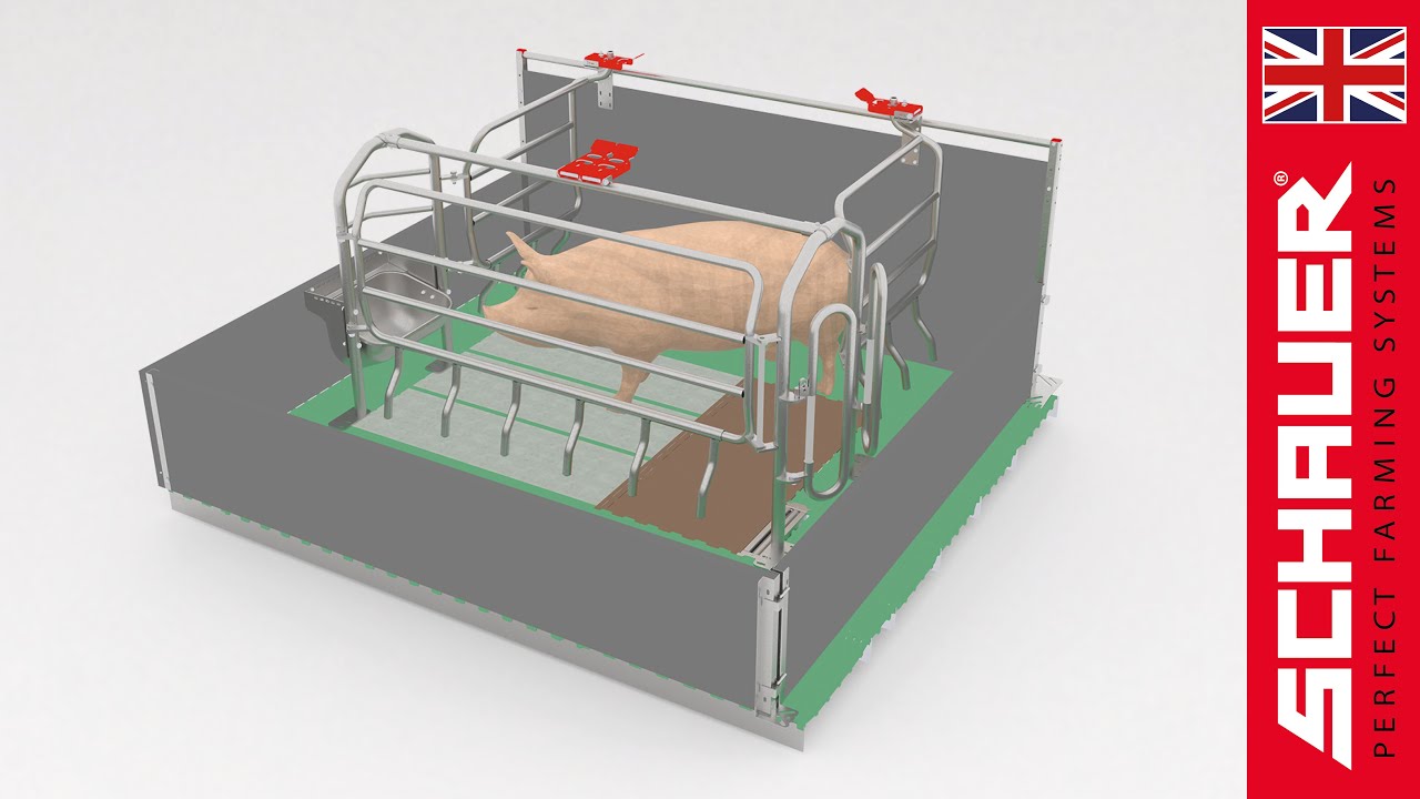 Product video Wingfree free farrowing pen - YouTube