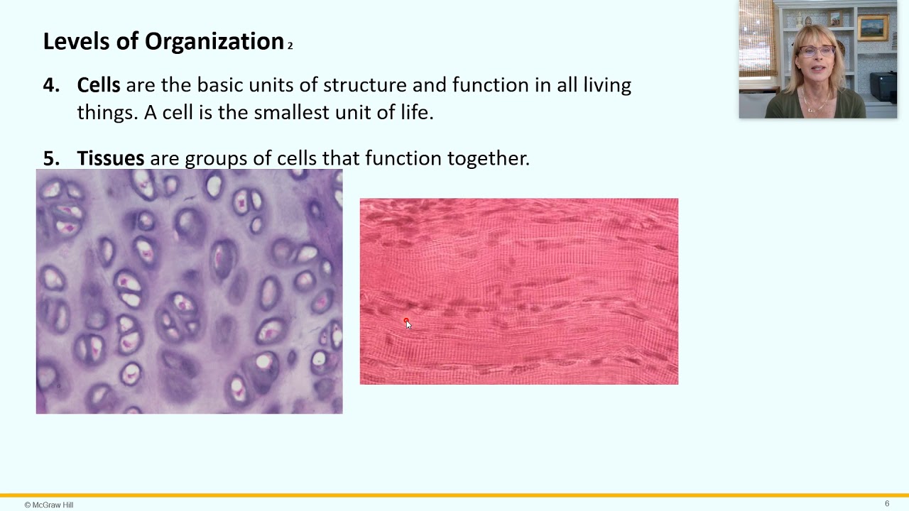 Physiology 1 - Basic Concepts - YouTube