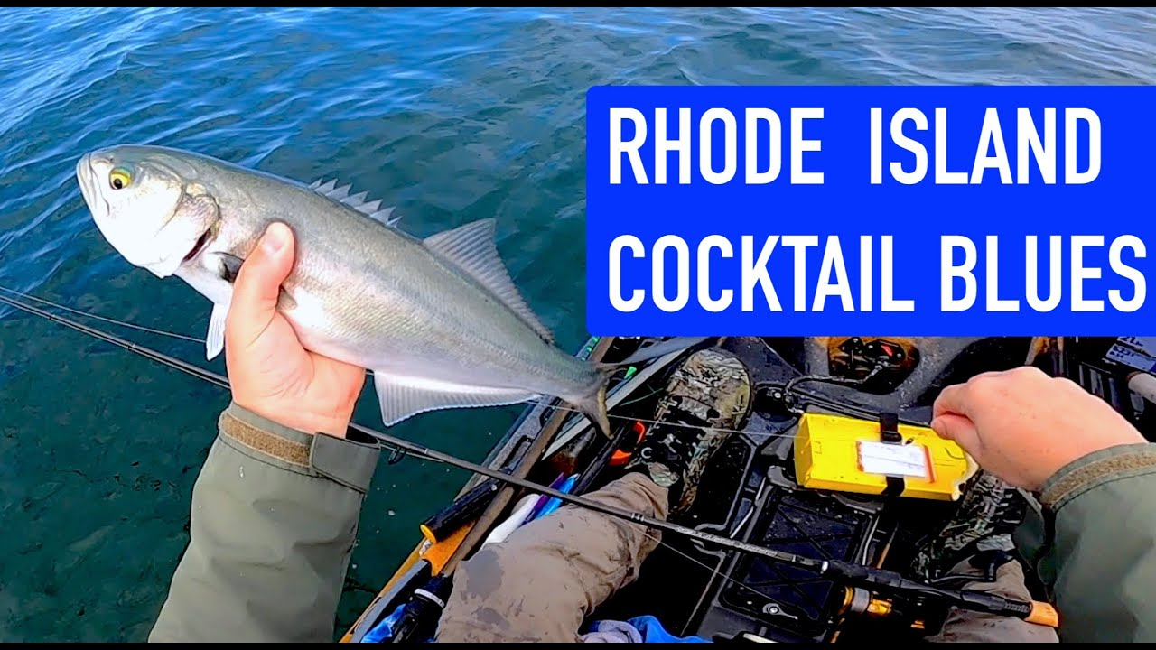 So many Bluefish! June inshore ocean kayak fishing in Rhode Island ...