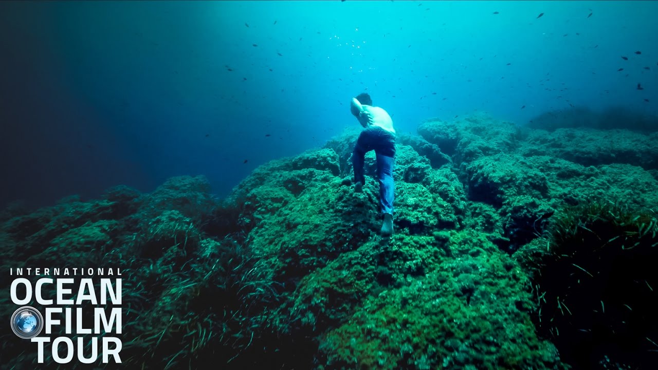 THIS IS FOR YOU OCEAN LOVERS | International OCEAN FILM TOUR - YouTube