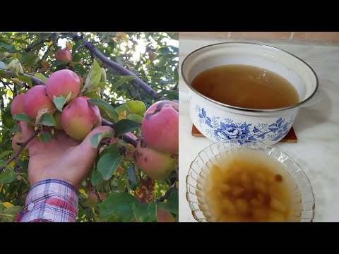 ELMA KOMPOSTOSU NASIL YAPILIR/ EV YAPIMI ELMA KOMPOSTOSU TARİFİ