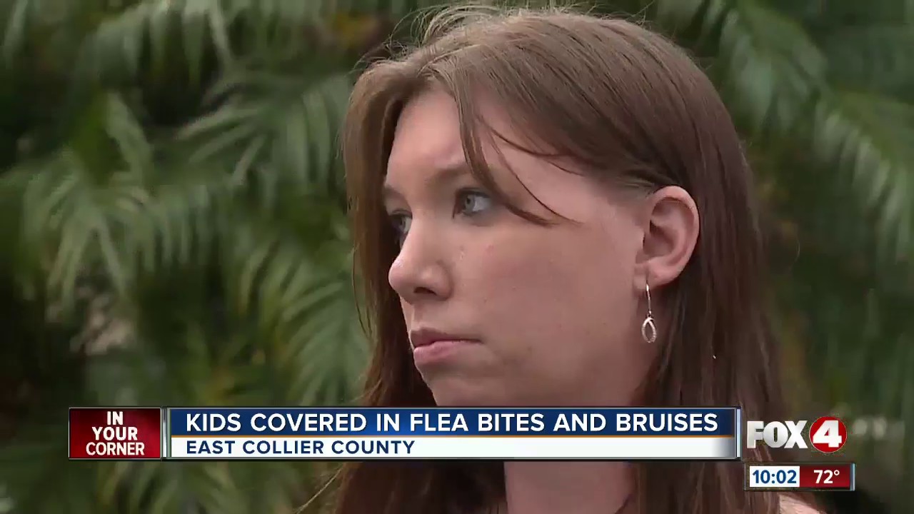 Couple arrested after kids found living in filthy conditions - YouTube