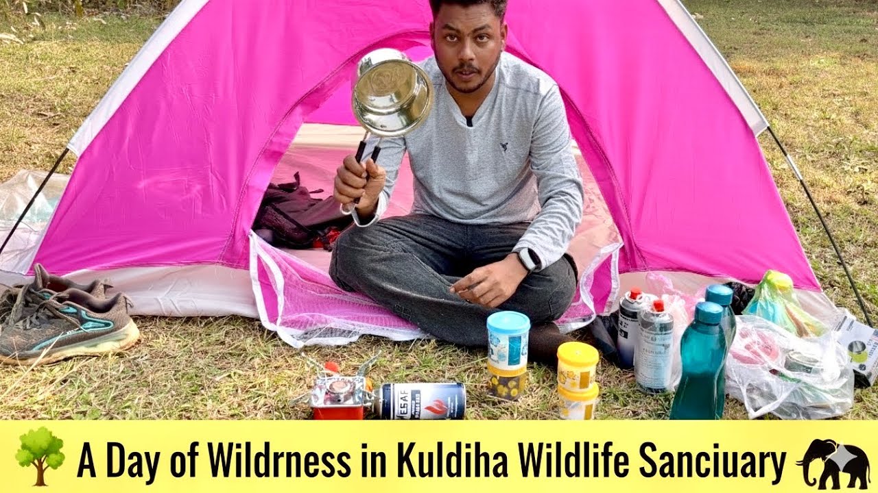 🌳 A Day of Wilderness in Kuldiha Wildlife Sanctuary 🐘|କୁଲଡିହା ବନ୍ୟଜନ୍ତୁ ...
