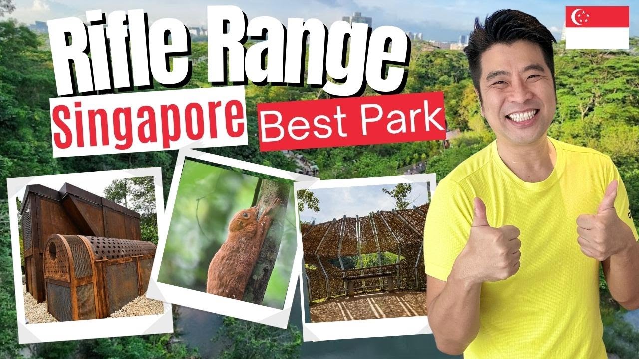First time hiking in Singapore 🐒 Rifle Range Nature Park - YouTube