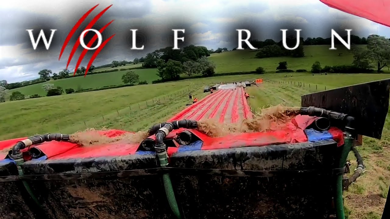 I did a WOLF RUN | 10k Obstacle Assault Course | Leicester UK | Summer ...