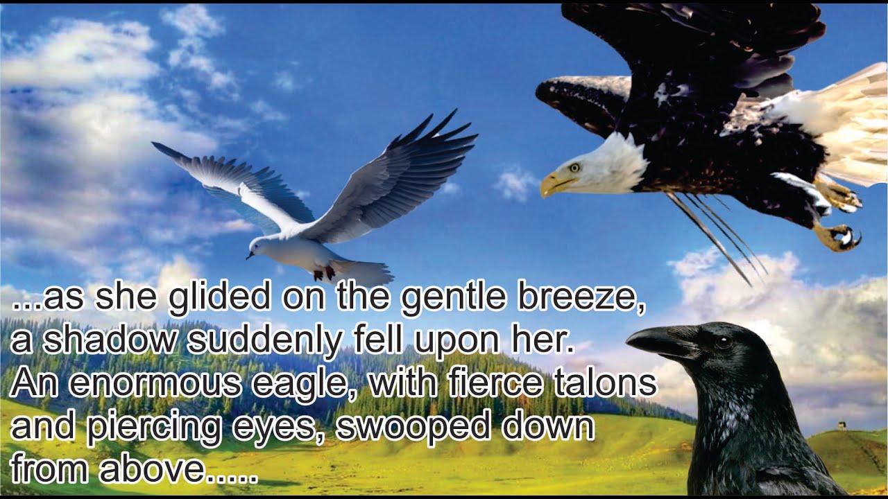 Dove | Eagle| Crow | Interesting Story #eagles #dove #crow # ...