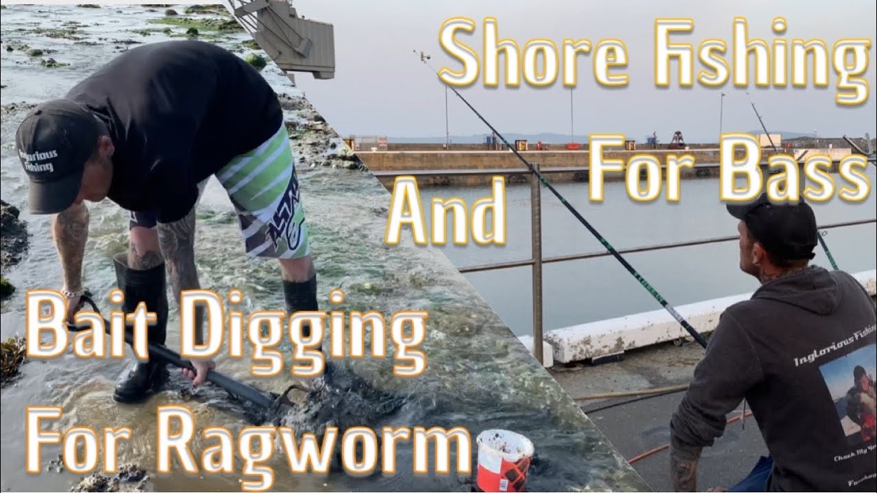 Bass Fishing And Bait Digging At Low Water In Guernsey 🇬🇬🇬🇧 - YouTube