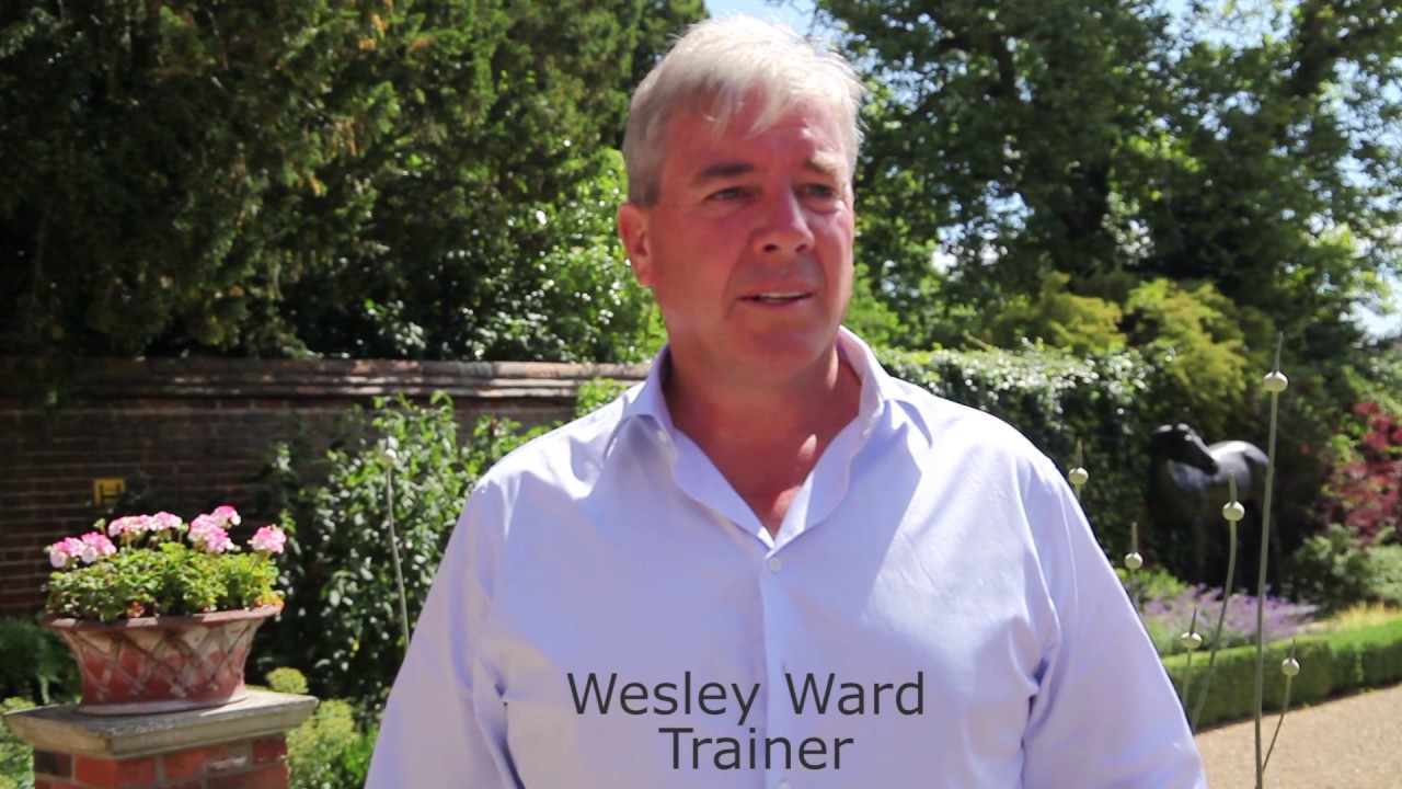 Wesley Ward pre Royal Ascot Interview - YouTube