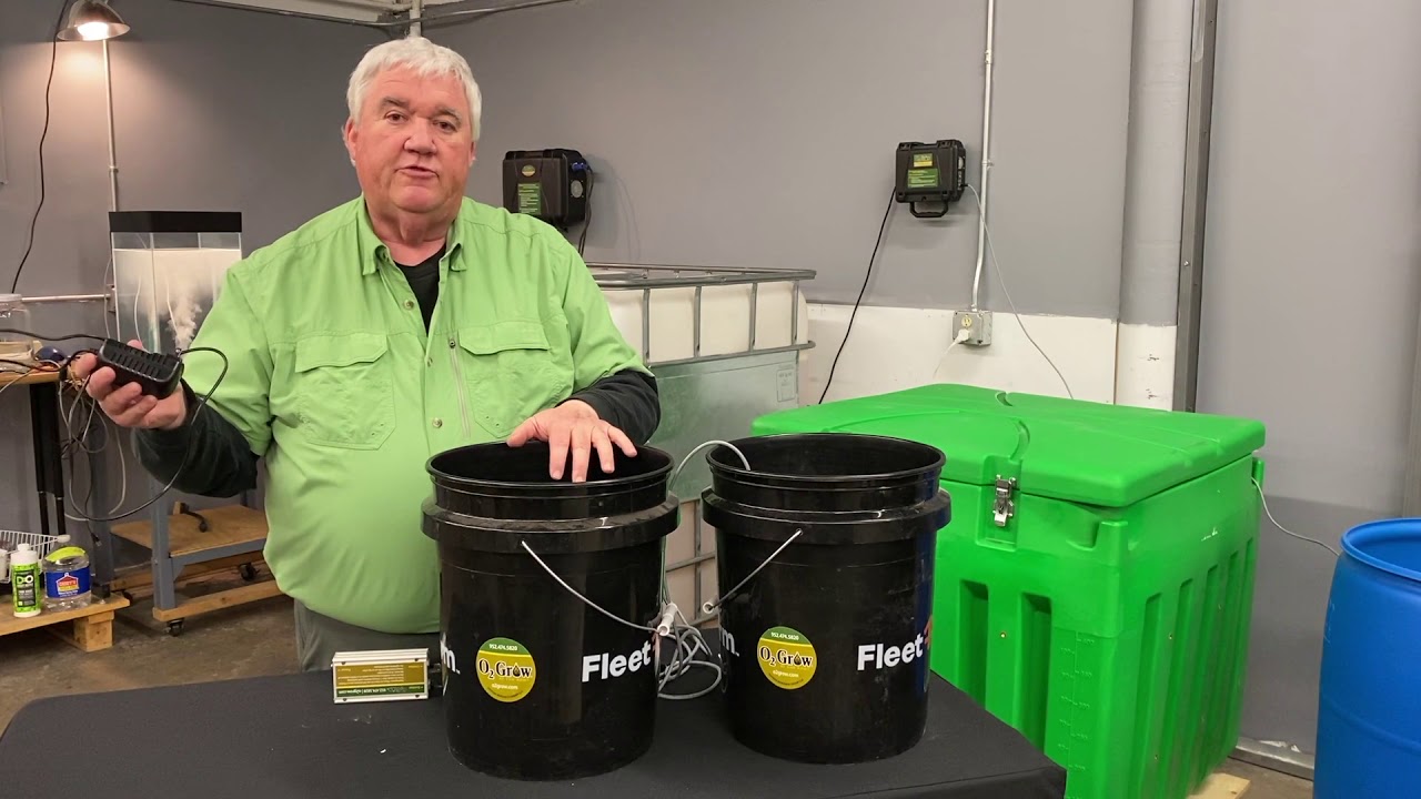 O2 Grow 2020 - YouTube