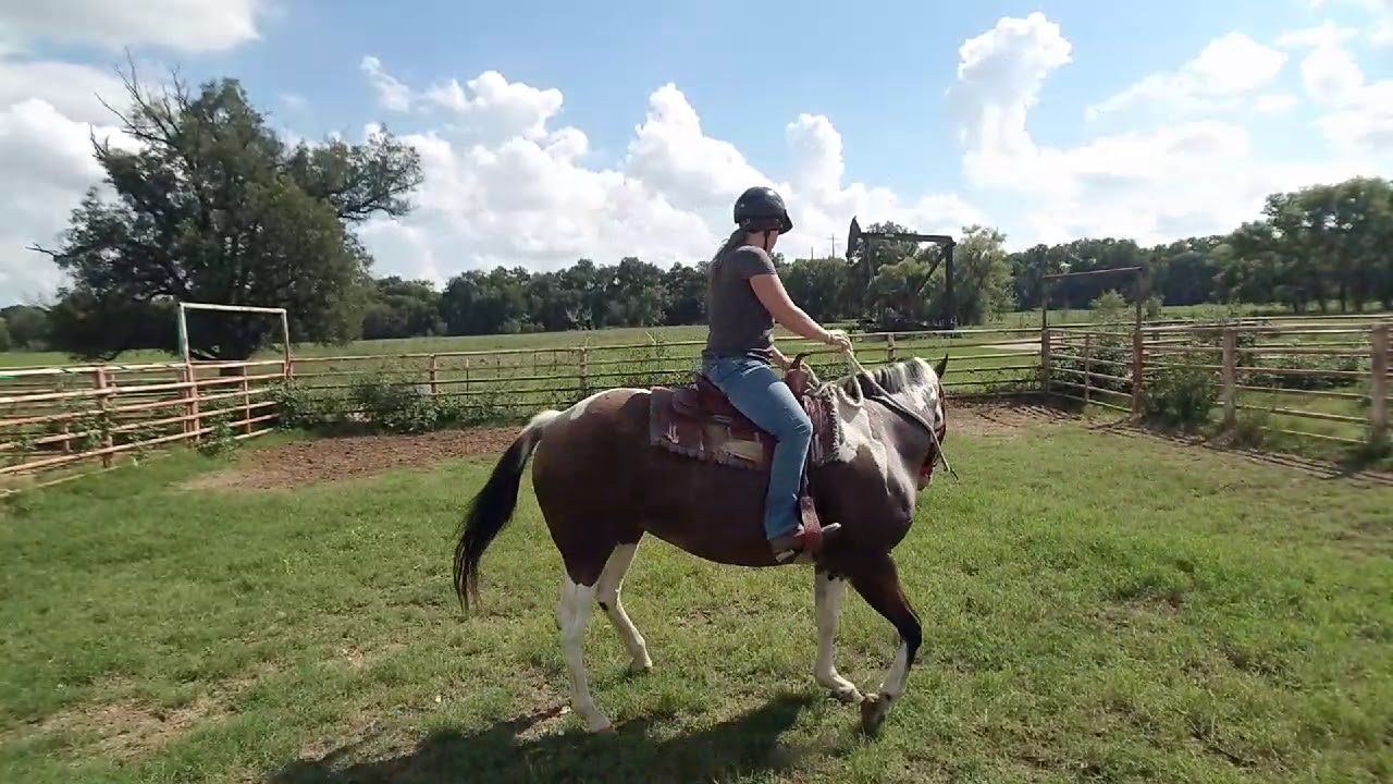 1st ride after 6 months in a bitless bridle - side pull hackamore ...