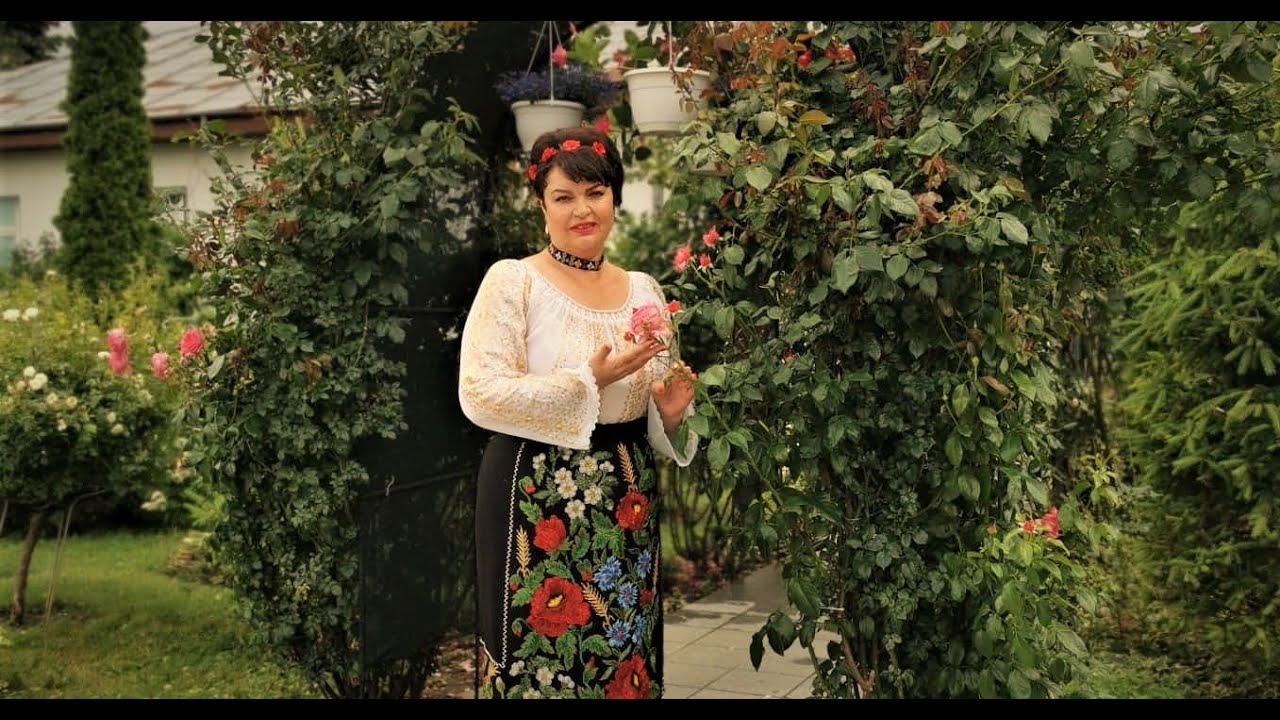 VIOLETA POPA - Merg pe drum prin iarba uda - YouTube