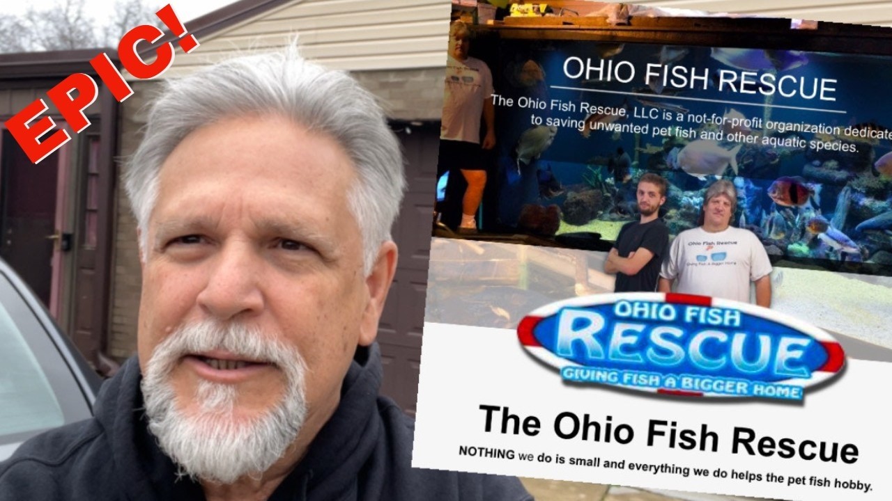My Visit to the *FAMOUS* Ohio Fish Rescue was EPIC! - YouTube