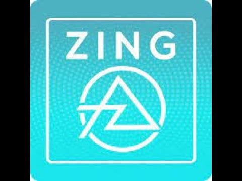 What does Zing do? - YouTube