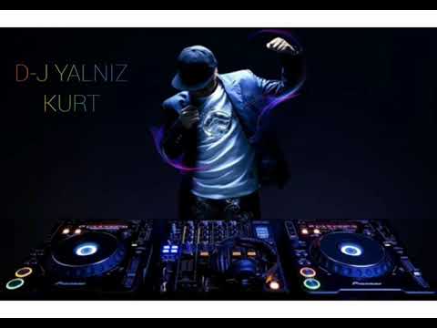 D-J YALNIZ KURT  Silent Scream