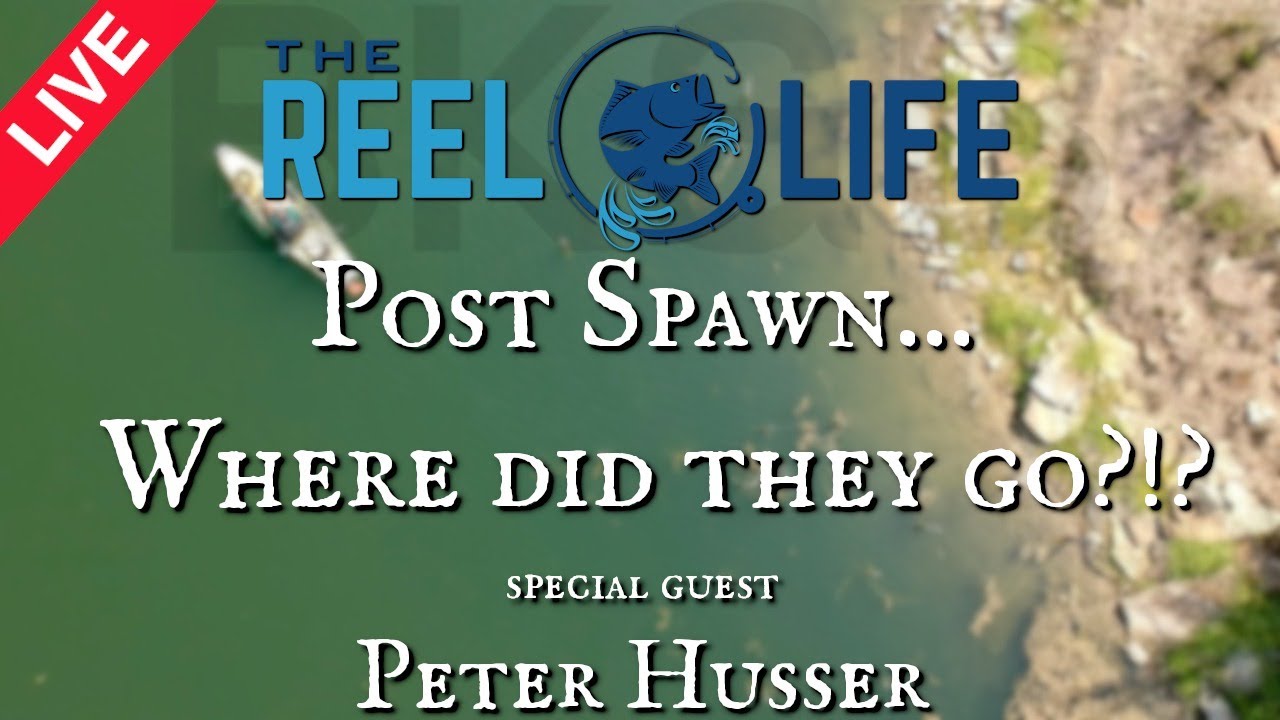 Post Spawn.... Where Did They Go?!?1 - YouTube