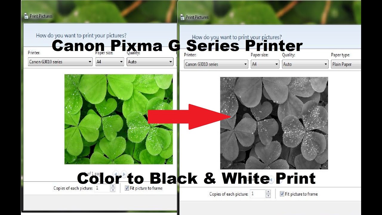 How To Take Color file to Black and White Print in Canon G Series ...