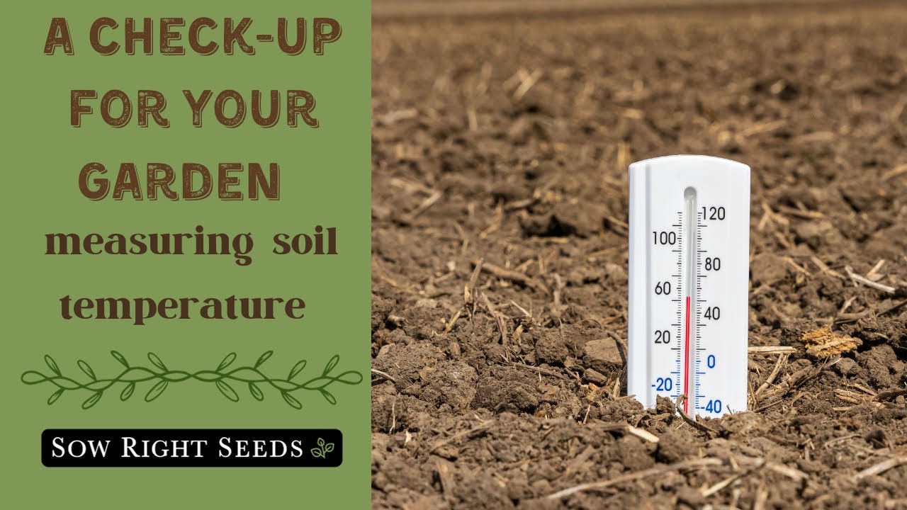 A Check-Up for Your Garden: Measuring Soil Temperature - YouTube