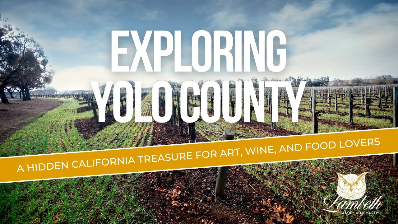Exploring Yolo County: A Hidden California Treasure for Art, Wine, and ...