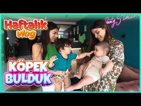 HAFTALIK VLOG | KÖPEK BULDUK (44. Bölüm)