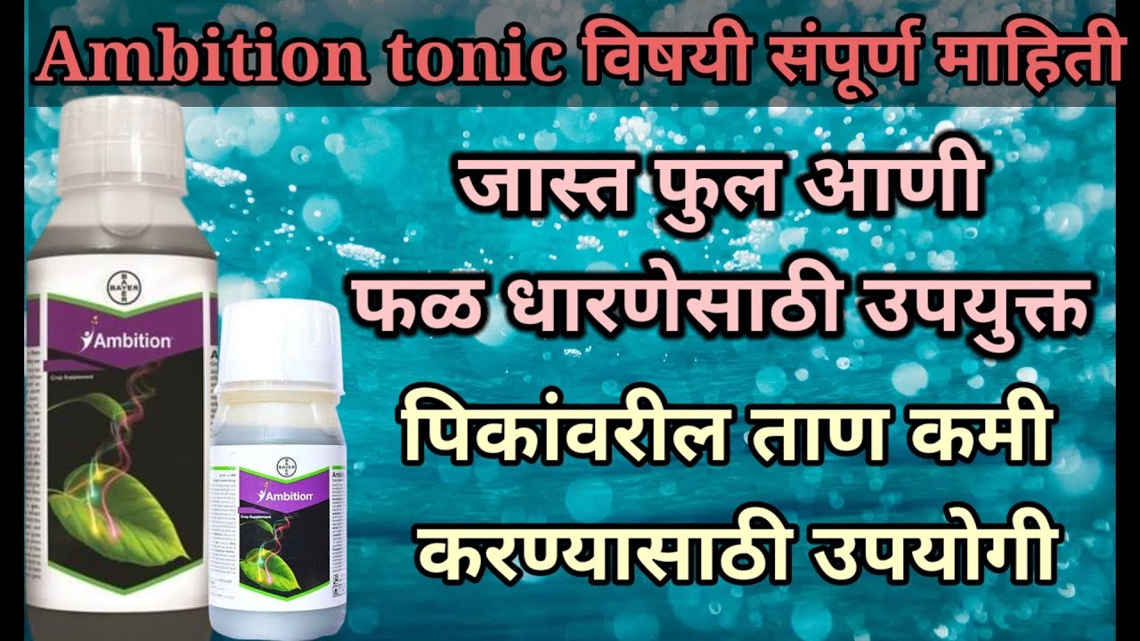 Ambition tonic|Ambition bayer tonic| Ambition plant growth regulator # ...