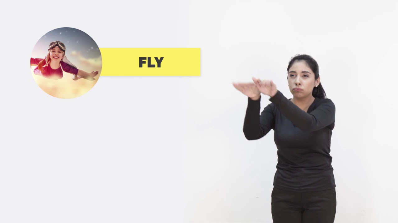 658 fly volar - YouTube