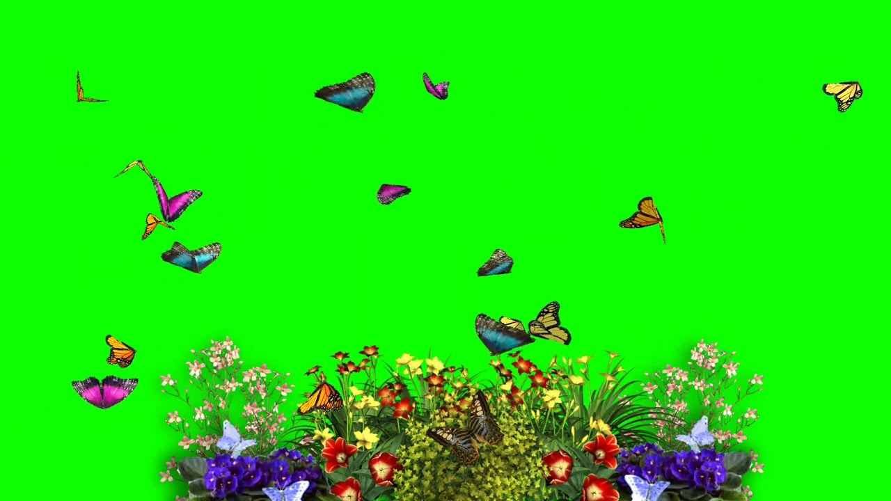 Butterfly And Grass Flowers Green Screen Effects Video #greenscreen # ...