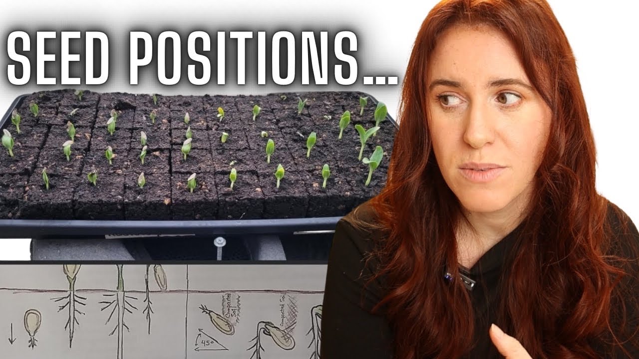 Why Seed Positioning in Soil Matters | Improve Germination & Growth ...