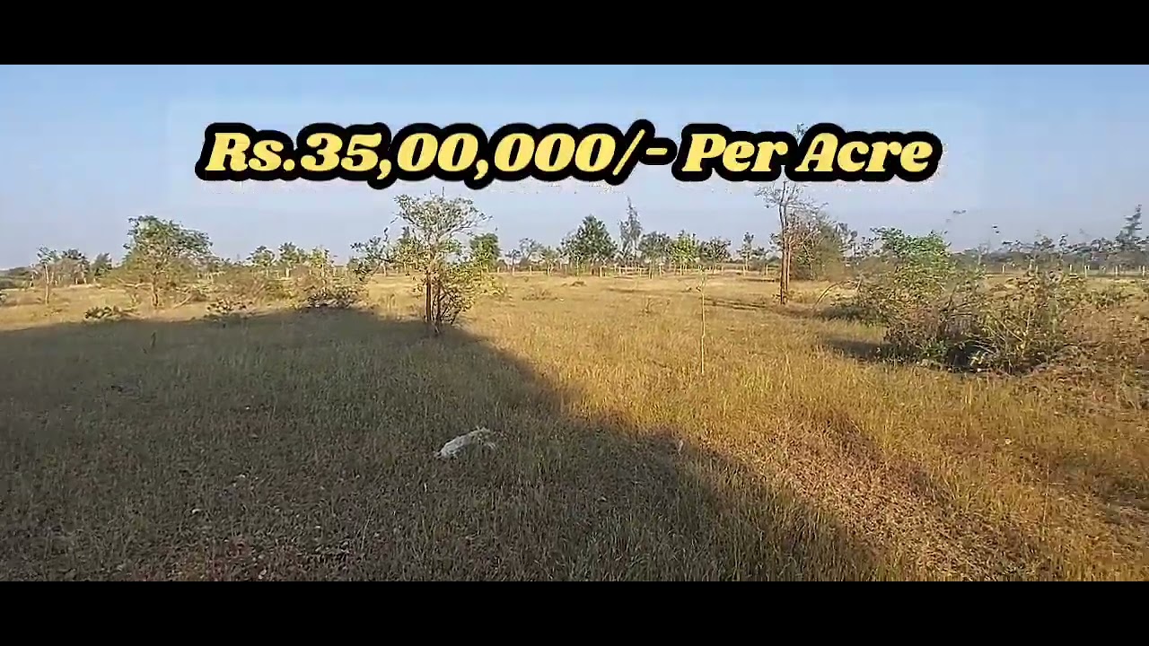 3 Acre 1 Kunte Land For Sale Near Mysore Low Budget 9110861228 3-acre-1-kunte-land-for-sale-near-mysore-low-budget-9110861228