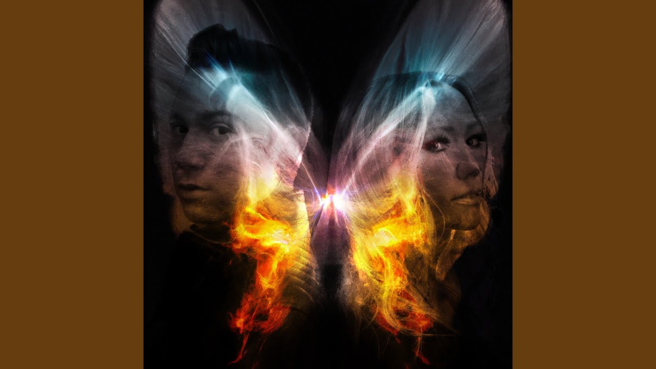 Painted Lady (Fly) - YouTube