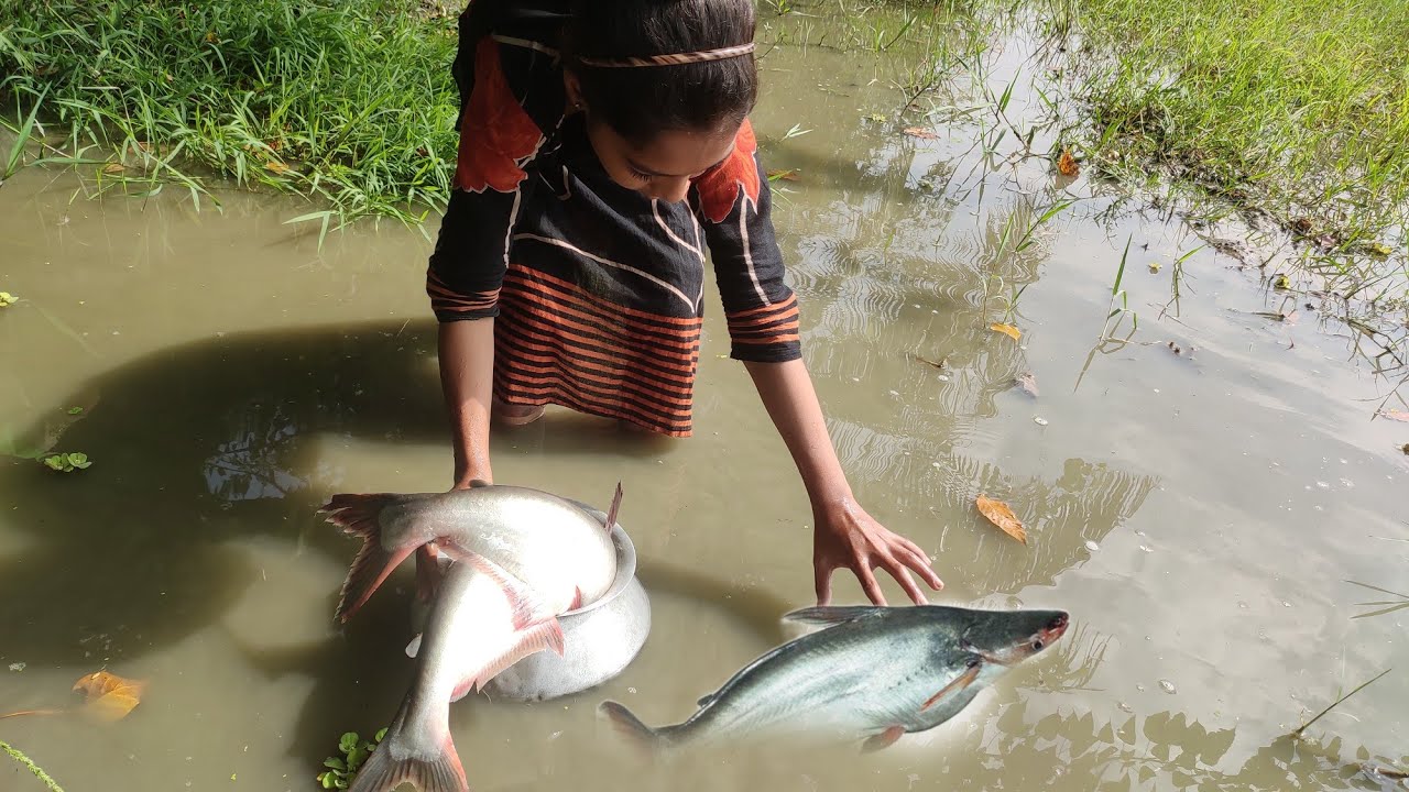 Beautiful Girl Fishing Video 2021 - Amazing Girl Hand Fishing - YouTube