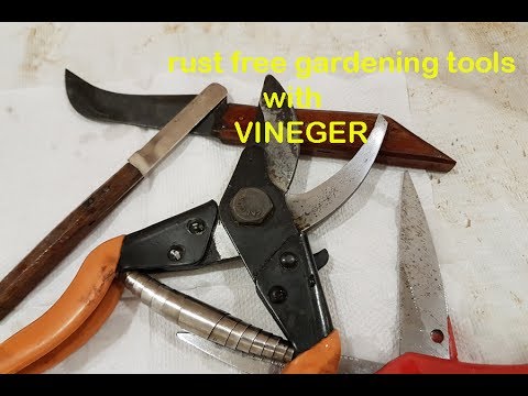 how & why to remove RUST(जंग )from gardening tools ? जंग को gardening ...