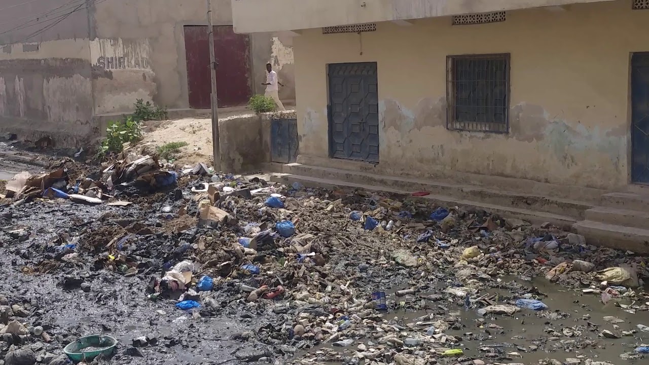 Jidka baar ubax oo qashinka wehel u noqday - YouTube