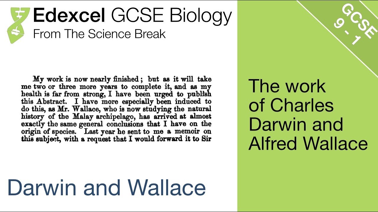 Edexcel GCSE Biology - Darwin, Wallace and Evolution - YouTube