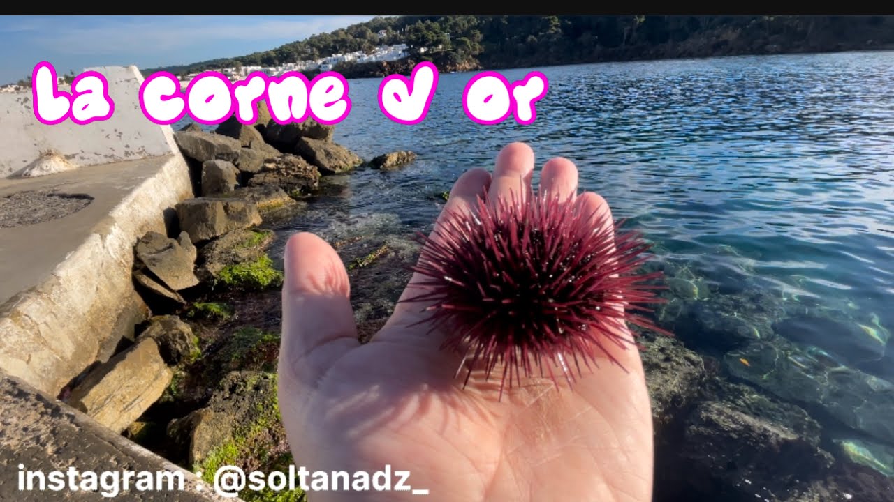 نهاية أسبوع انا و العائلة ️ في la corne d or tipaza ️ ورأيي الشخصي فيه ...