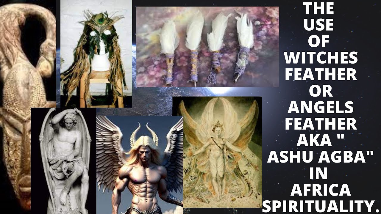 The Use of Witches Feather or Angels Feather aka " Ashu Agba" in Africa ...