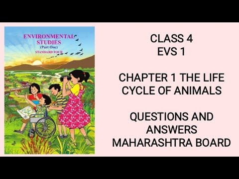 CLASS 4TH EVS1 CHAPTER 1 THE LIFE CYCLE OF ANIMALS QUESTIONS / ANSWERS ...