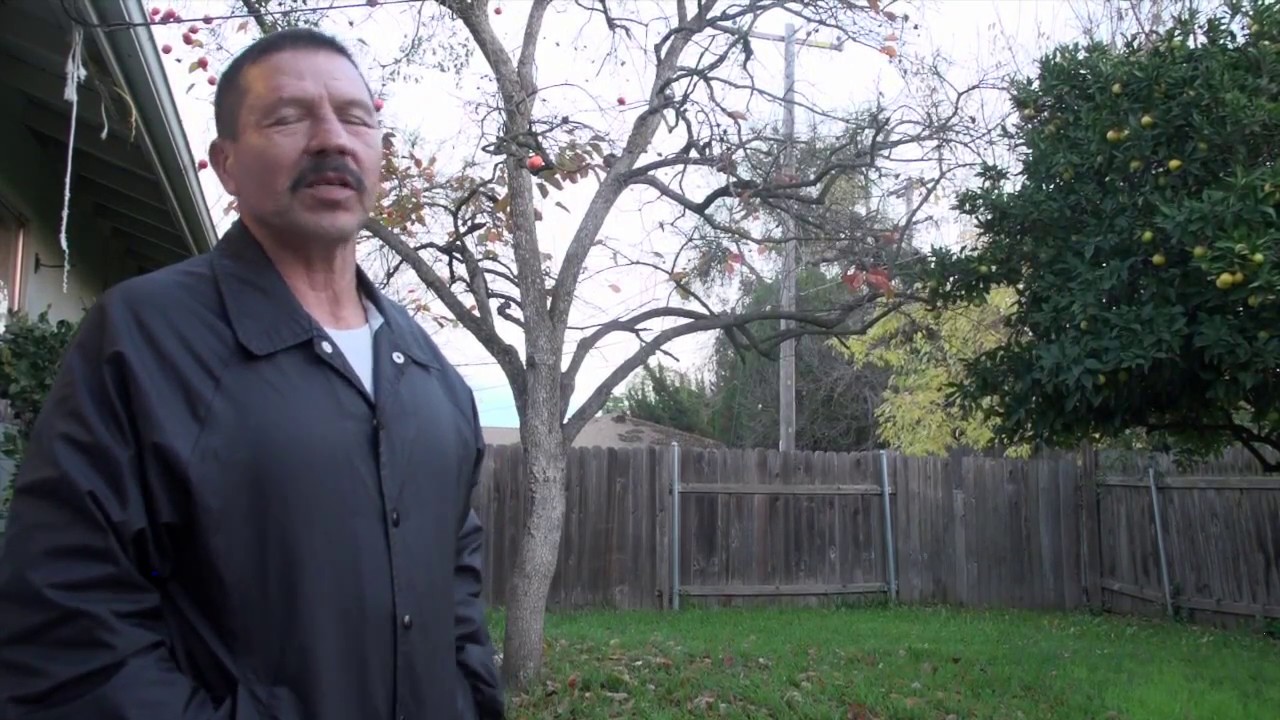 Dorcas Housing and Support Services - YouTube