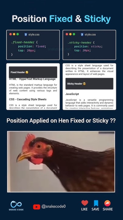 CSS Position Sticky and Fixed #html_css #responsive #animation #learncode - YouTube