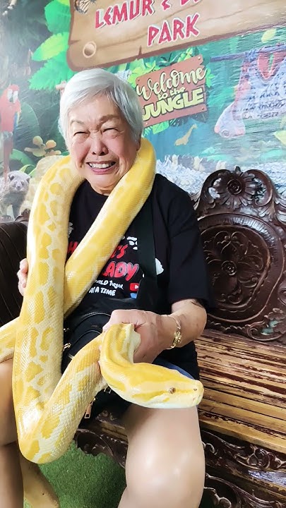 Butterfly and Python Park plus the Tangier Monkeys in Bohol, Philippines - YouTube